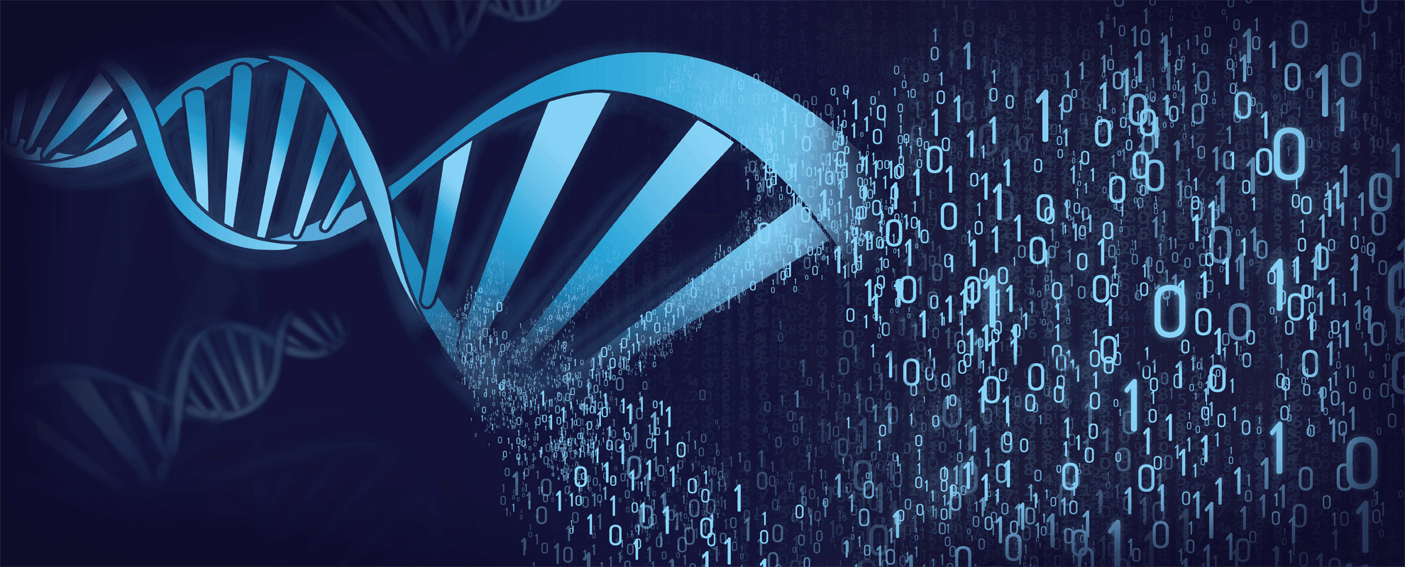 Persistence of Touch DNA: Understanding the Stability and Implications ... Persistence of Touch DNA: Understanding the Stability and Implications ...